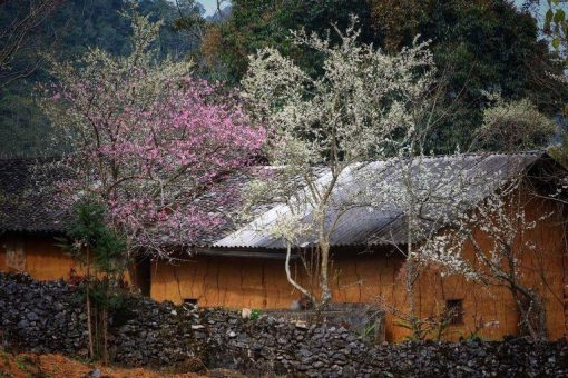 Quan Ba District in Ha Giang: A Hidden Gem in Northern Vietnam
