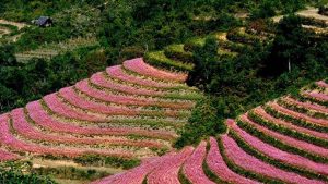 Explore Tham Ma Pass - An Impressive Mountain Route in Ha Giang