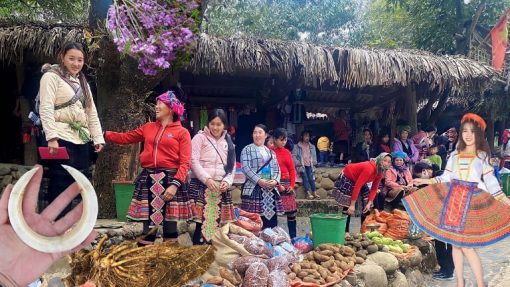 Sin Ho Loop: A Complete Guide to Northern Vietnam’s Hidden Adventure