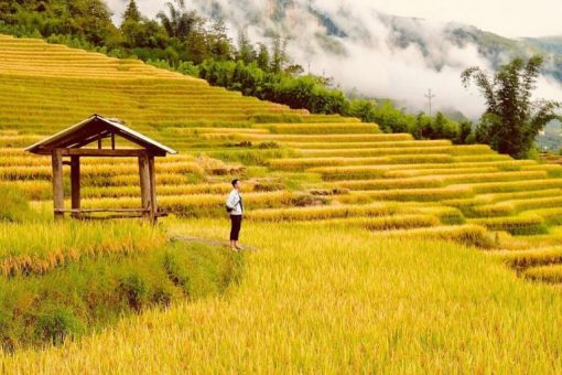 Y Ty Loop: A Thrilling Road Trip in Vietnam’s Northern Highlands