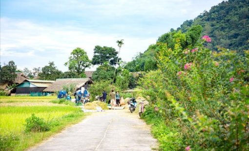 Happiness Road Vietnam: Explore Ha Giang's Beauty and Culture
