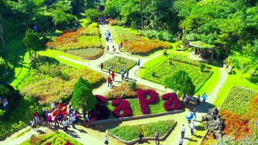 Ham Rong Mountain Sapa: A Must-Visit for Nature and Culture Lovers