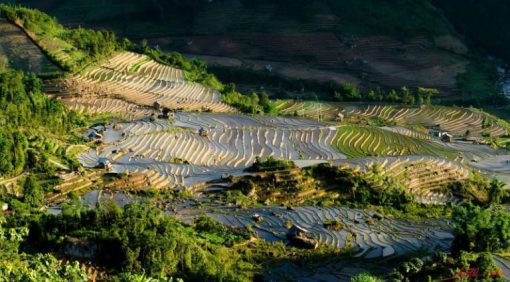 Sapa Rice Fields: A Complete Guide to the Iconic Terraces of Vietnam