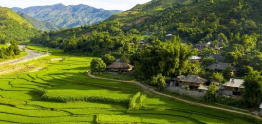 Tu Le Valley, Yen Bai: A Hidden Gem of Vietnam’s Northwest