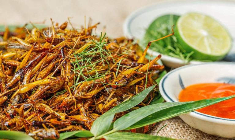 Yen Bai Stir-Fried Larvae: A Must-Try Dish for Adventurous Foodies
