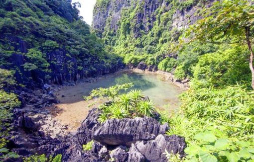 Bo Hon Island: A Nature Lover’s Paradise in Halong Bay