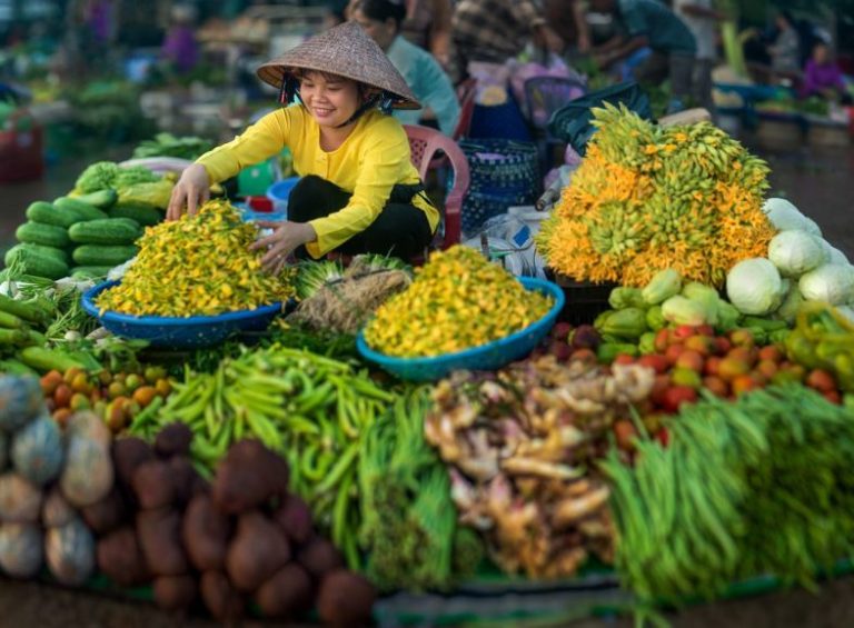 Best Local Markets in Vietnam: Your Authentic Shopping Guide